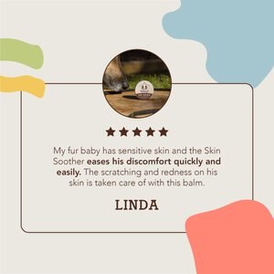 10 Best Dog Skin Care Products 2025: According to Reviews | Chewy