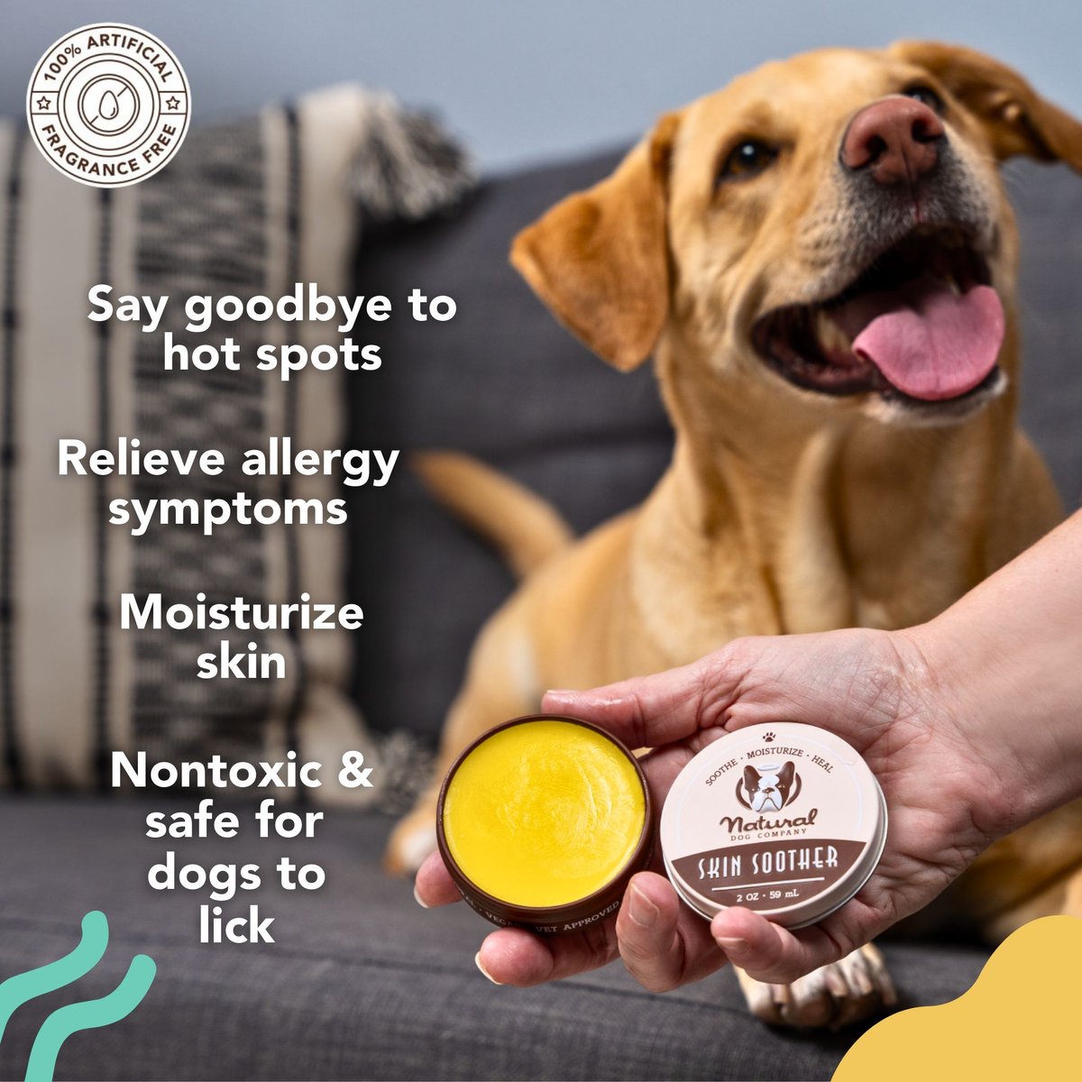 NATURAL DOG COMPANY Skin Soother Dog Healing Balm, 2-fl oz tin - Chewy.com