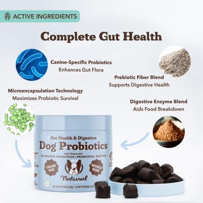NATURAL DOG COMPANY Super-Flora Probiotic Chews Dog Supplement, 45 ...