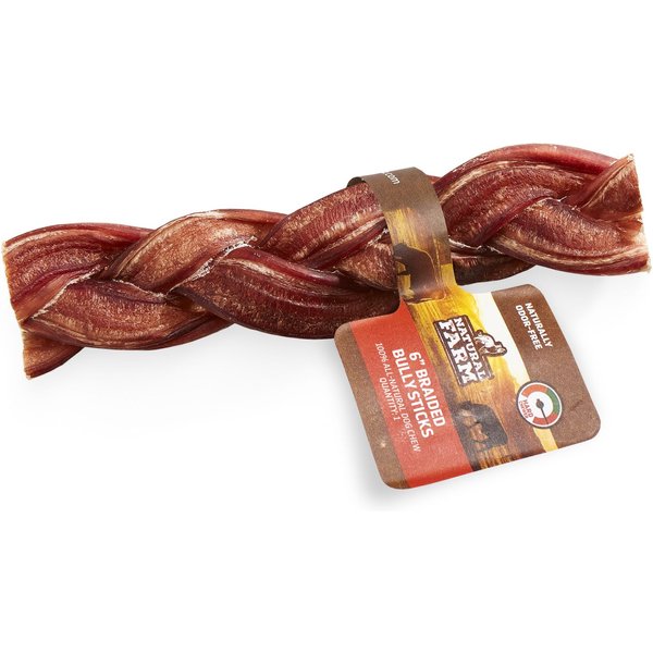 JACK & PUP Odor Free 6" Jumbo Beef Bully Stick, 1 count - Chewy.com