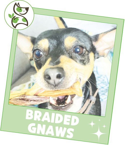 NATURE GNAWS 5 to 6-in Braided Gnaws Dog Chew Treats, 12 count - Chewy.com