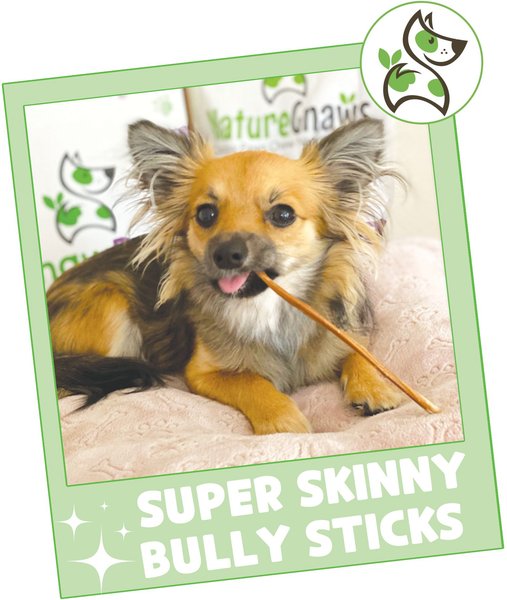 NATURE GNAWS Super Skinny 5 to 6-in Bully Sticks Dog Chew Treats, 40 ...