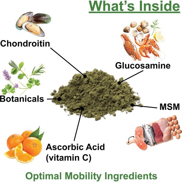 NATURE'S FARMACY Dogzymes Phyto Flex Dog Supplement, 1-lb jar - Chewy.com