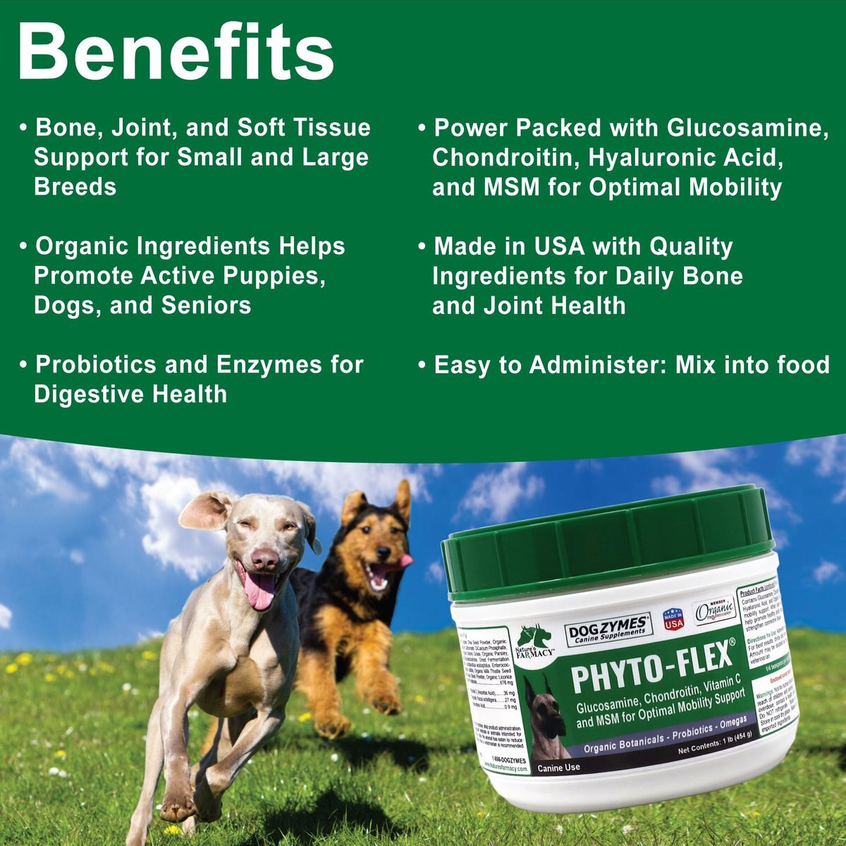 NATURE'S FARMACY Dogzymes Phyto Flex Dog Supplement, 1-lb jar - Chewy.com