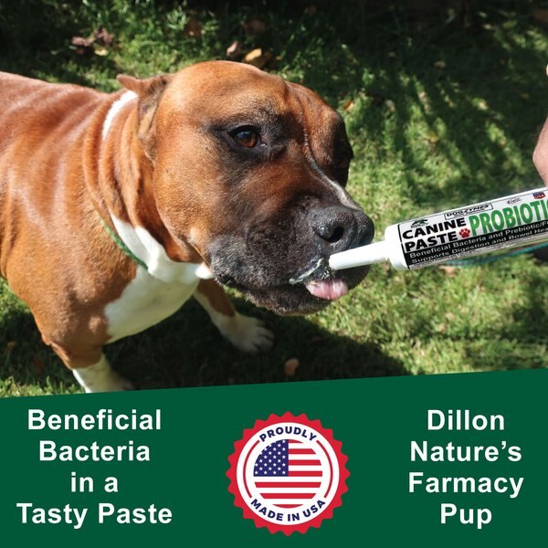 NATURE'S FARMACY Dogzymes Probiotic Paste Dog Supplement, 30-cc syringe ...
