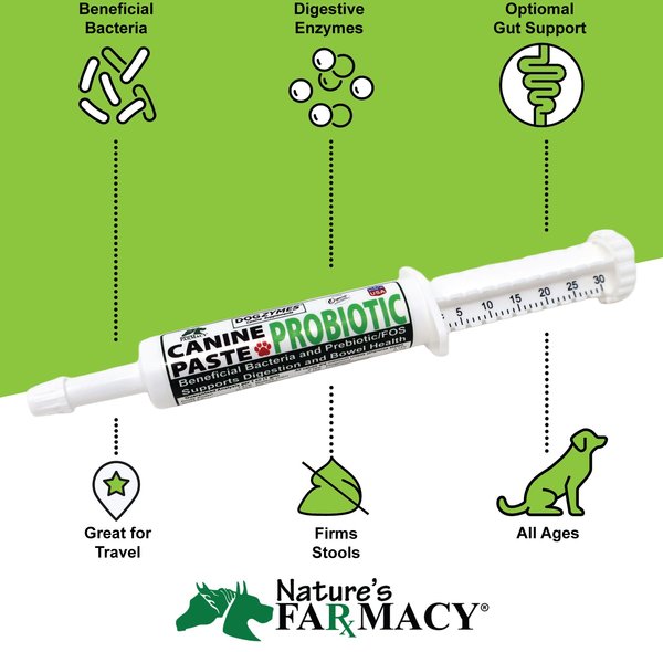 NATURE'S FARMACY Dogzymes Probiotic Paste Dog Supplement, 30-cc syringe ...