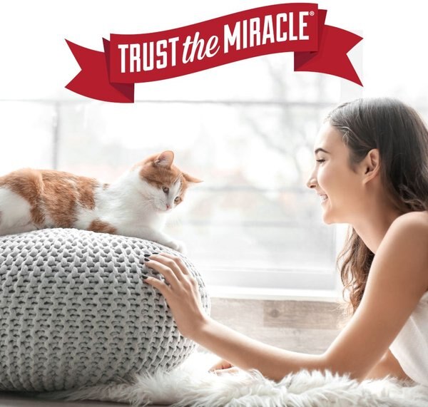 NATURE'S MIRACLE Cat Urine Destroyer Plus Enzymatic Stain Remover Foam ...