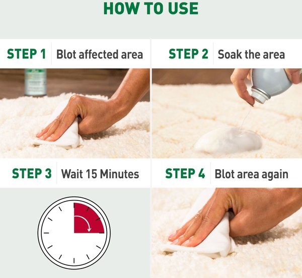 NATURE'S MIRACLE Cat Urine Destroyer Plus Enzymatic Stain Remover Foam ...