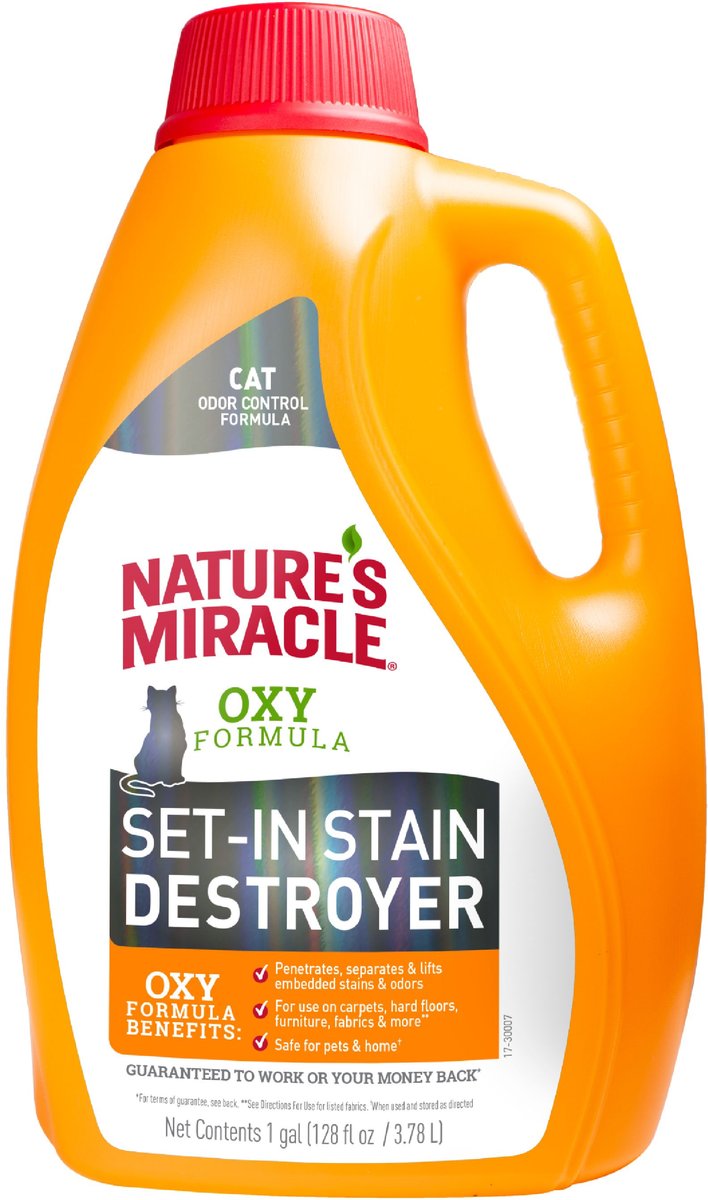 NATURE'S MIRACLE Oxy Formula Set-In Cat Stain Destroyer 1-gal bottle, Orange Scent - Chewy.com