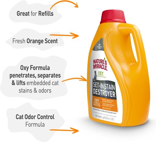 NATURE'S MIRACLE Oxy Formula Set-In Cat Stain Destroyer 1-gal bottle, Orange Scent - Chewy.com