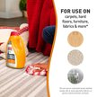 NATURE'S MIRACLE Oxy Formula Set-In Cat Stain Destroyer 1-gal bottle, Orange Scent - Chewy.com