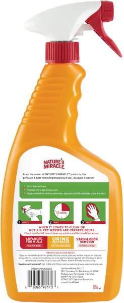 NATURE'S MIRACLE Oxy Formula Set-In Cat Stain Destroyer 24-fl oz bottle, Orange Scent - Chewy.com
