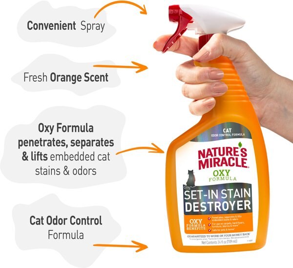 NATURE'S MIRACLE Oxy Formula Set-In Cat Stain Destroyer 24-fl oz bottle, Orange Scent - Chewy.com