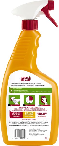 NATURE'S MIRACLE Oxy Formula Set-In Dog Stain Destroyer, 24-fl oz bottle - Chewy.com