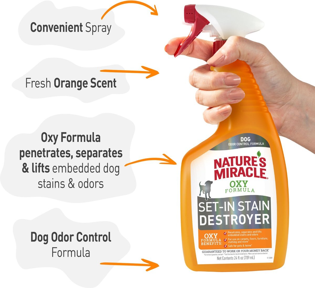 NATURE'S MIRACLE Oxy Formula Set-In Dog Stain Destroyer, 24-fl oz ...