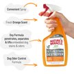 NATURE'S MIRACLE Oxy Formula Set-In Dog Stain Destroyer, 24-fl oz bottle - Chewy.com