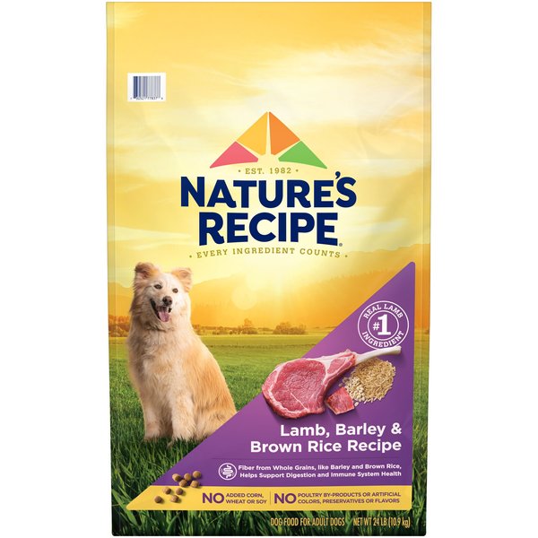 NATURE'S RECIPE Adult Lamb, Barley & Brown Rice Recipe Dry Dog Food, 24 ...