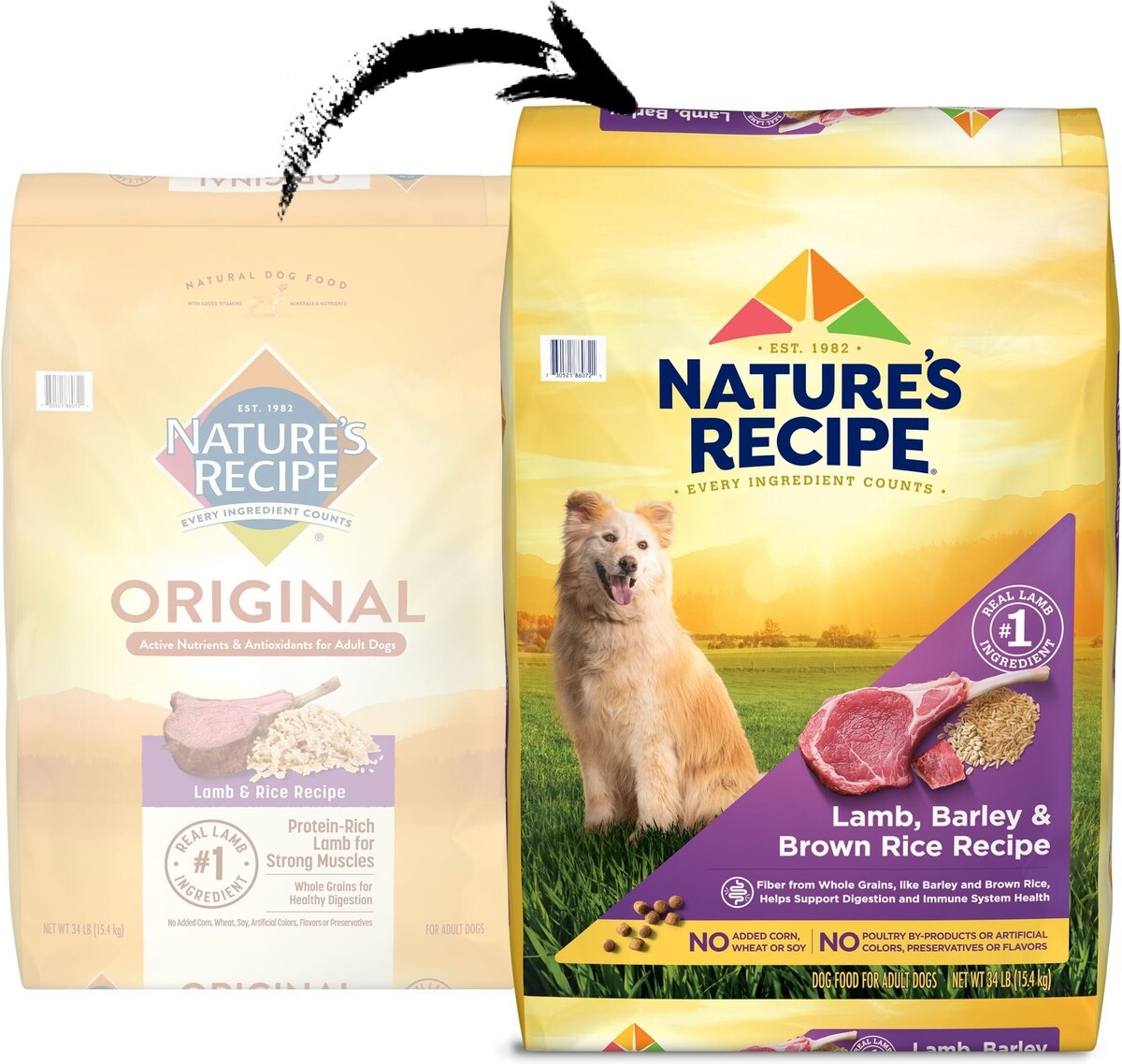 NATURE'S RECIPE Adult Lamb, Barley & Brown Rice Recipe Dry Dog Food, 34 ...