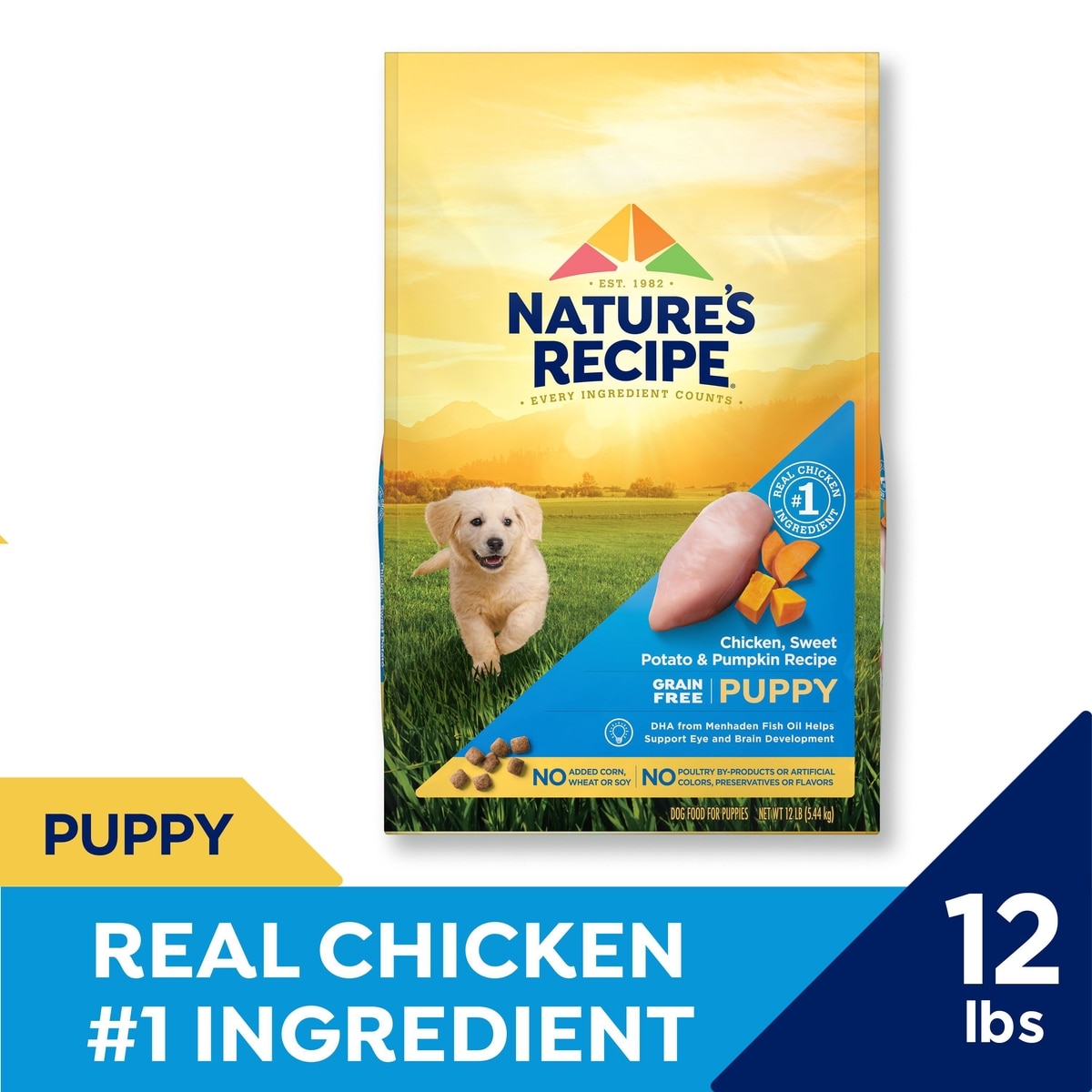 NATURE'S RECIPE Grain-Free Puppy Chicken, Sweet Potato, & Pumpkin ...