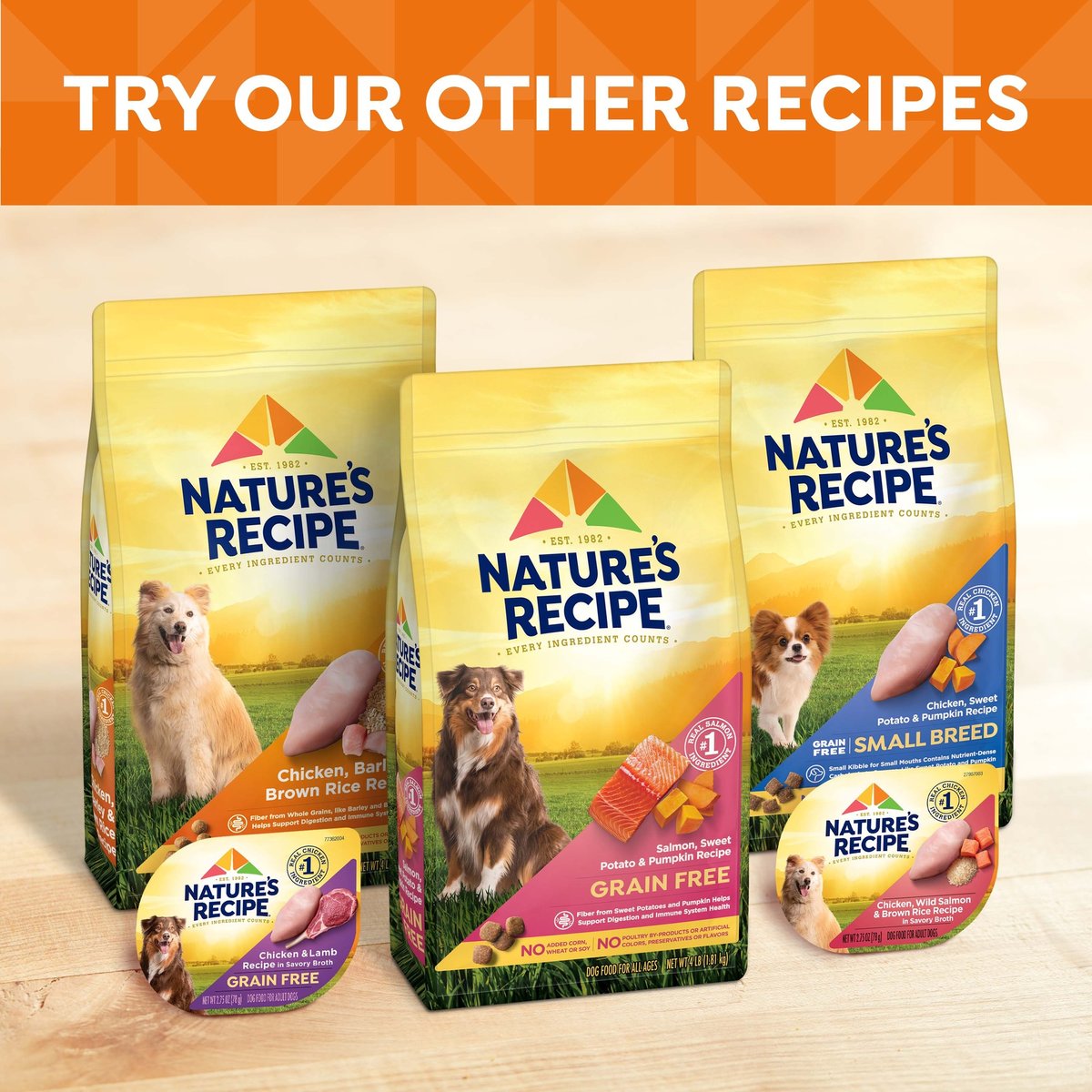 NATURE'S RECIPE Grain-Free Salmon, Sweet Potato & Pumpkin Recipe Dry ...