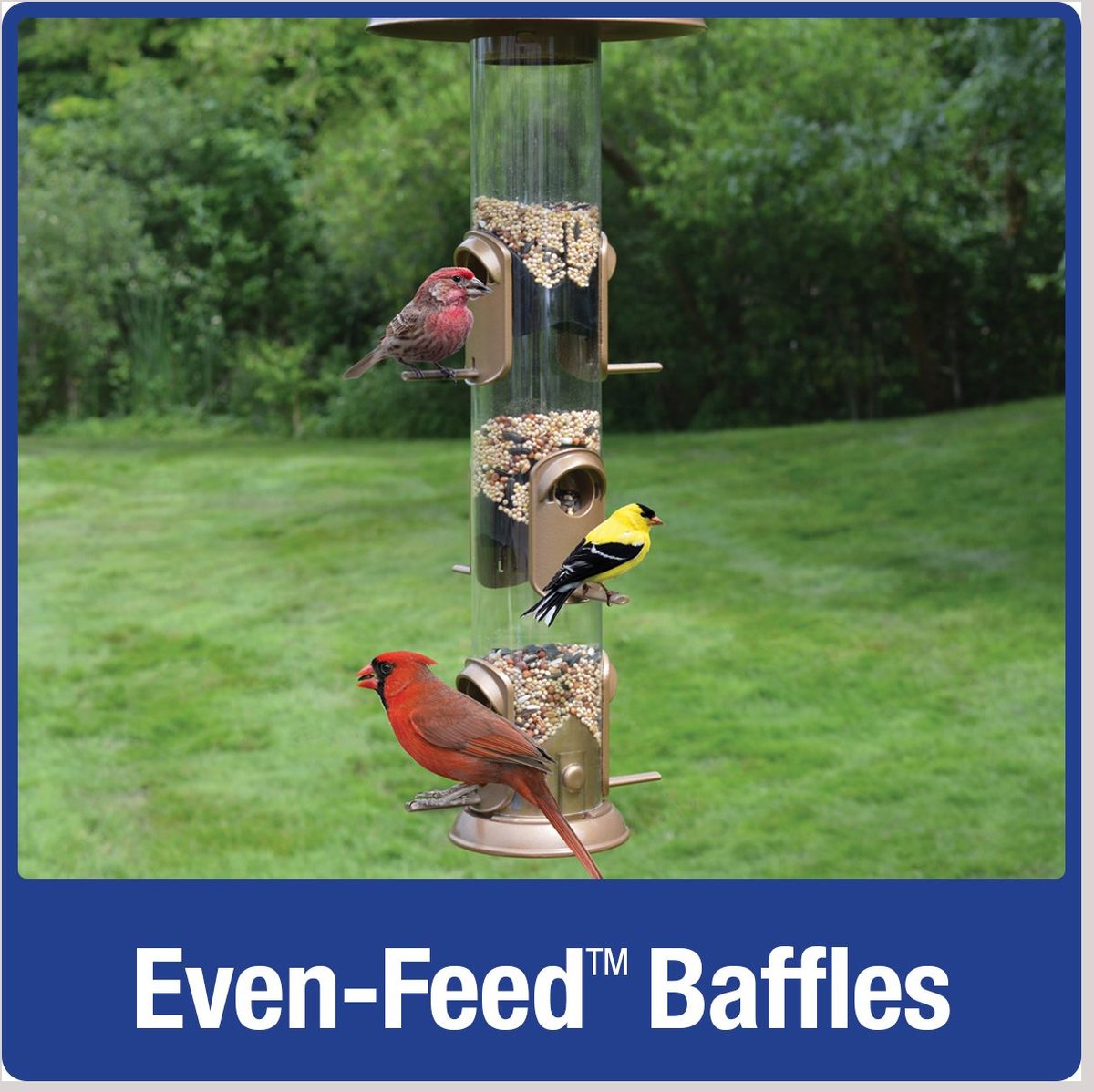 NATURES WAY BIRD PRODUCTS Deluxe Funnel Flip Top Bird Feeder, Copper, 1 ...