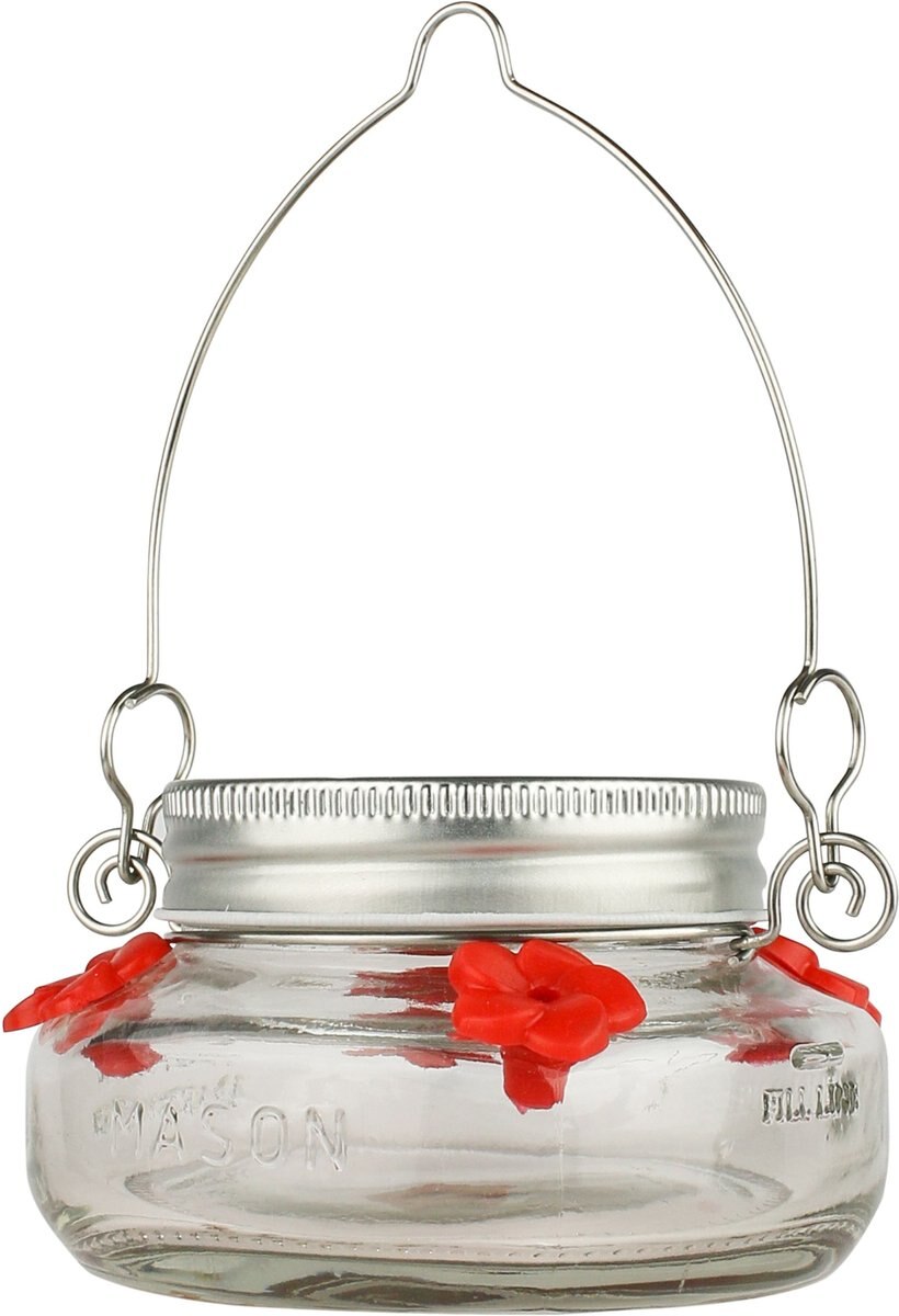 NATURES WAY BIRD PRODUCTS Mason Jar Humming Bird Feeder, Clear, 6-oz ...