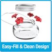 NATURES WAY BIRD PRODUCTS Mason Jar Humming Bird Feeder, Clear, 6-oz ...