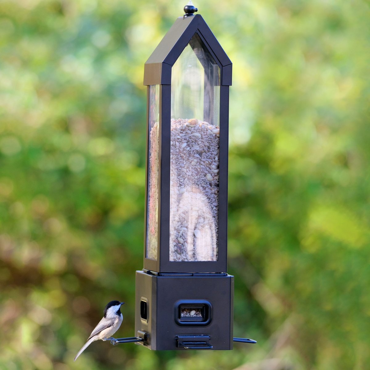 NATURES WAY BIRD PRODUCTS Squirrel Shield Choice Lantern Bird Feeder ...