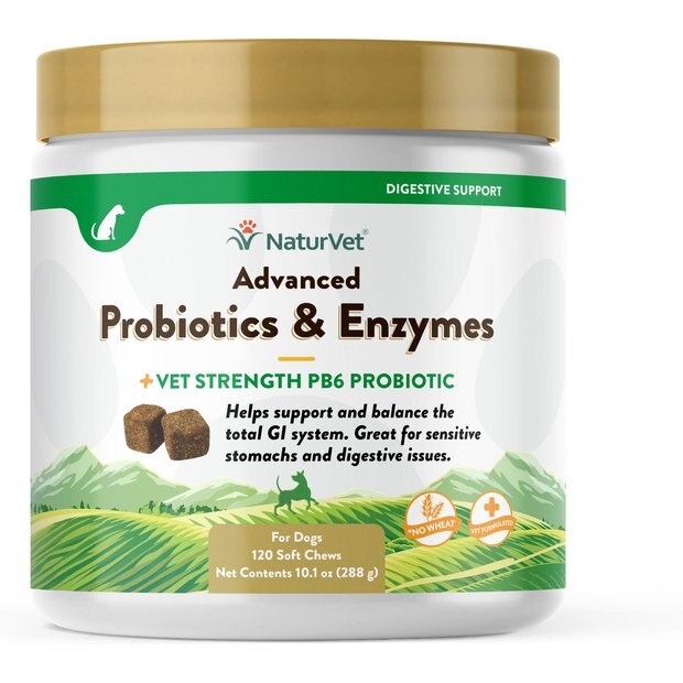 Dog Probiotics & Digestive Supplements (Free Shipping) | Chewy