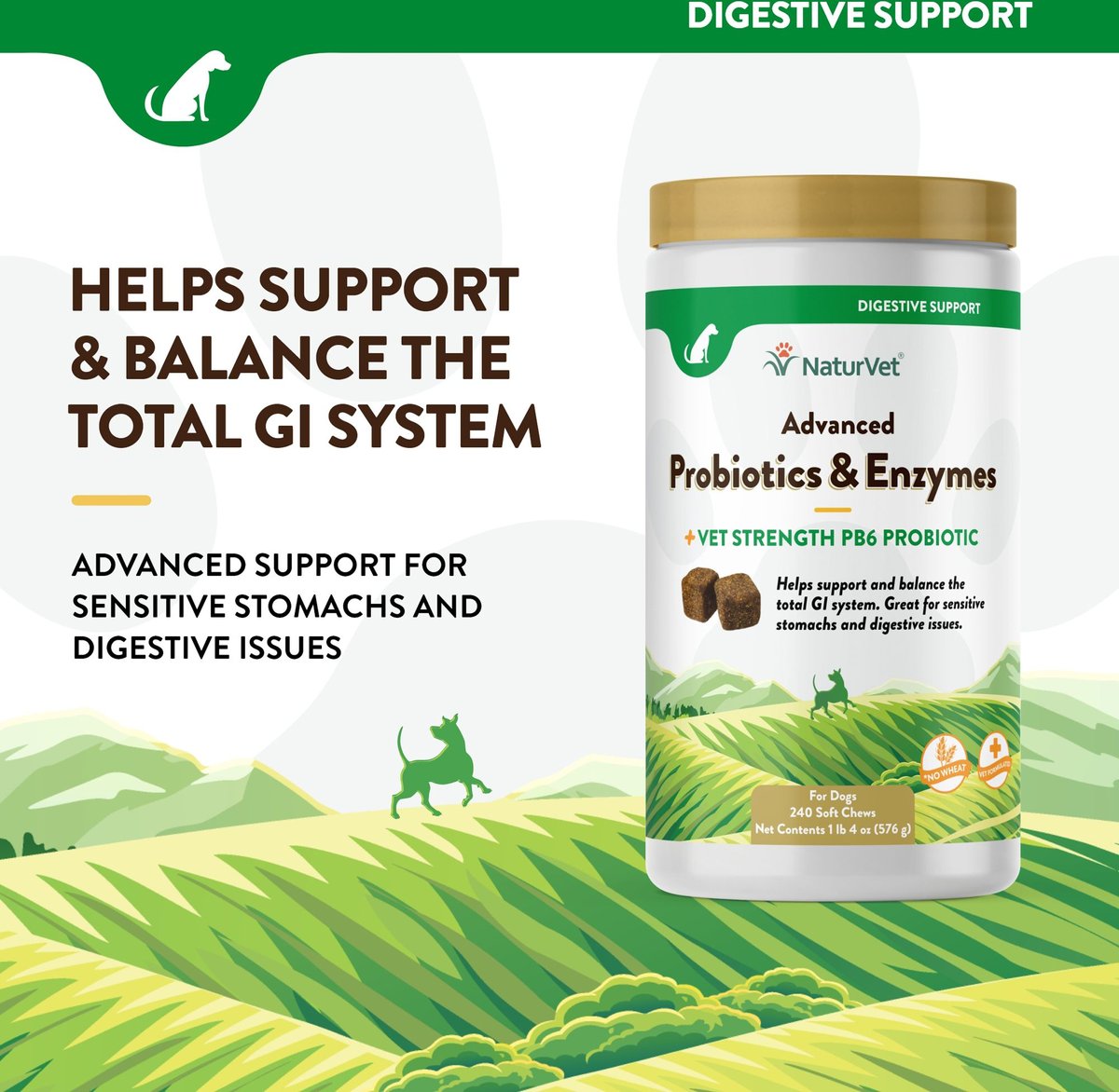 NATURVET Advanced Probiotics & Enzymes Plus Vet Strength PB6 Probiotic ...