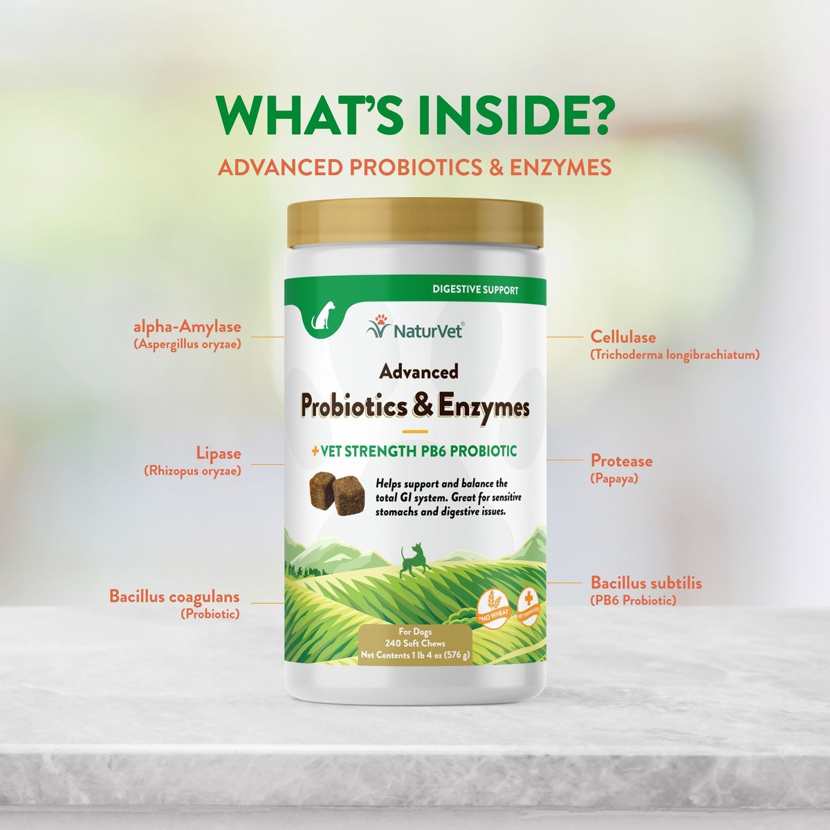 NATURVET Advanced Probiotics & Enzymes Plus Vet Strength PB6 Probiotic ...