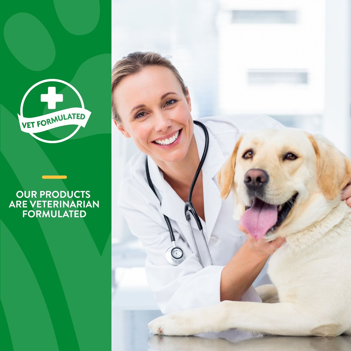 NATURVET Advanced Probiotics & Enzymes Plus Vet Strength PB6 Probiotic ...