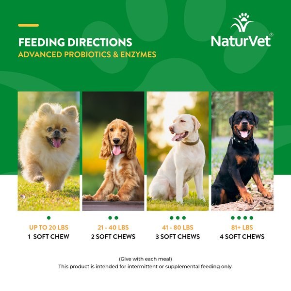 NATURVET Advanced Probiotics & Enzymes Plus Vet Strength PB6 Probiotic ...