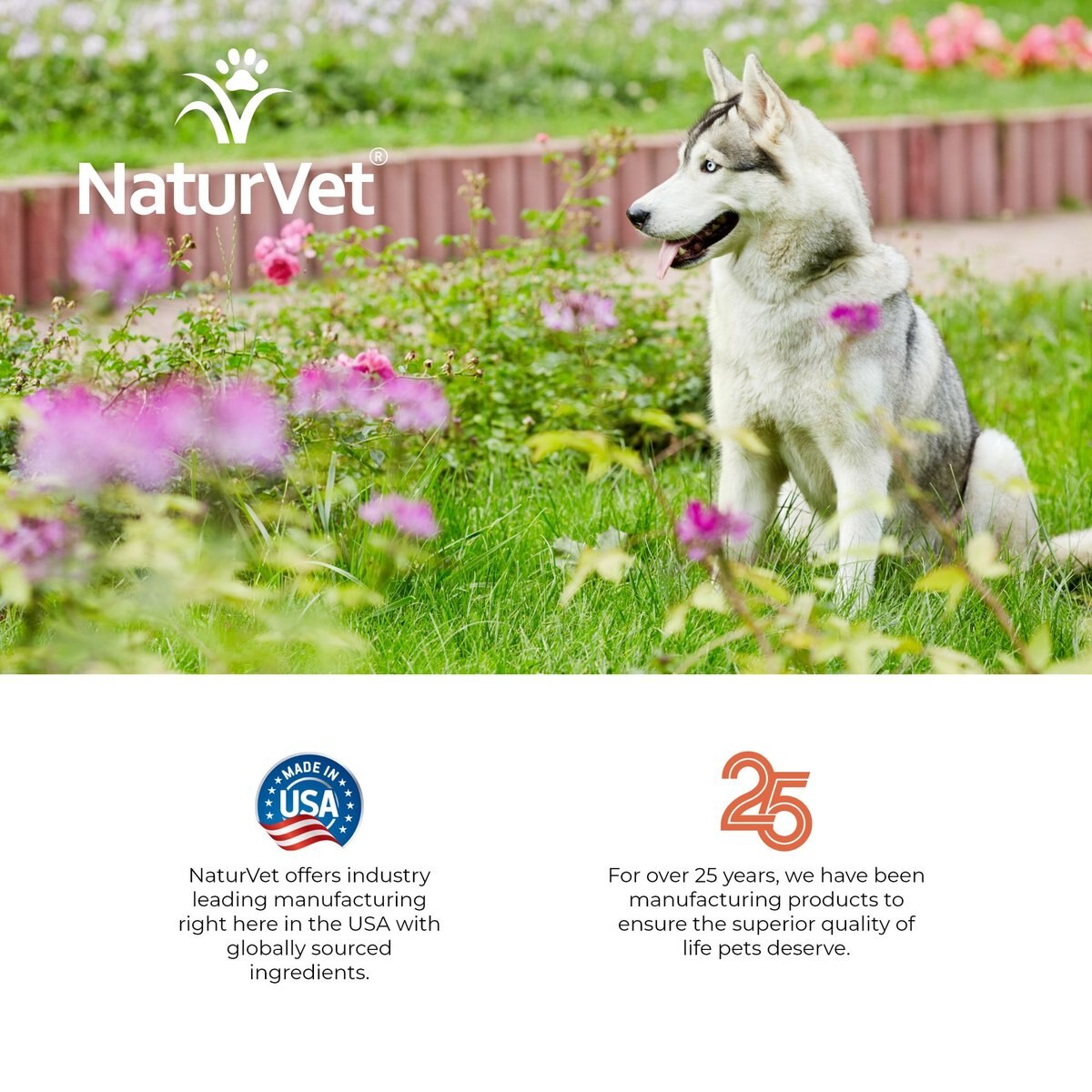 NATURVET Bitter Yuck! No Chew Training Spray for Dogs & Cats, 32-fl oz ...