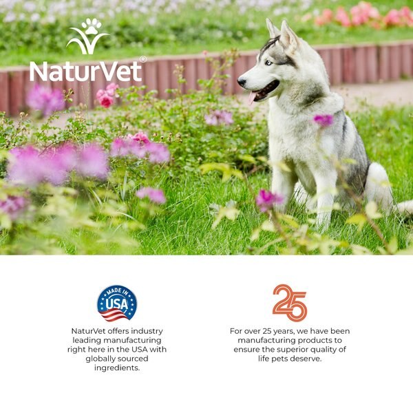 NATURVET Bitter Yuck! No Chew Training Spray for Dogs & Cats, 32-fl oz ...