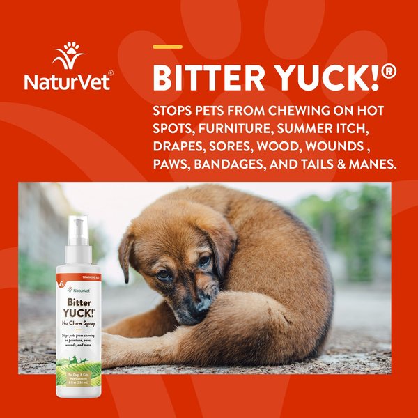 NATURVET Bitter YUCK! No Chew Dog, Cat & Horse Spray, 8-fl oz bottle ...