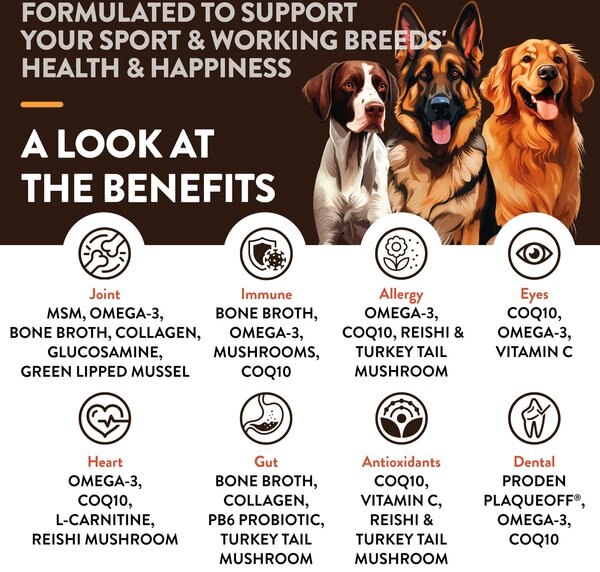 NATURVET Breed Specific Sport & Working Breeds Supplement for Dogs, 50 ...