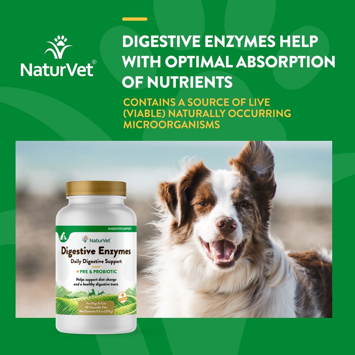 NATURVET Digestive Enzymes Plus Probiotic Chewable Tablets Digestive ...