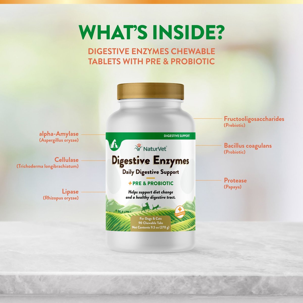 NATURVET Digestive Enzymes Plus Probiotic Chewable Tablets Digestive ...