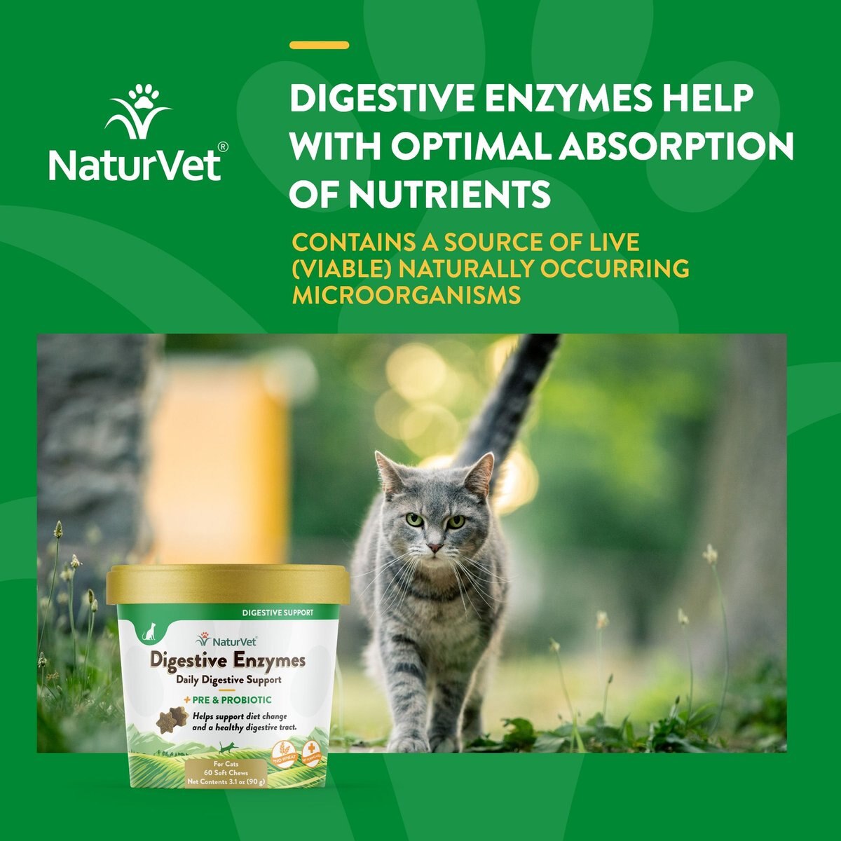 NATURVET Digestive Enzymes Plus Probiotic Soft Chews Digestive ...