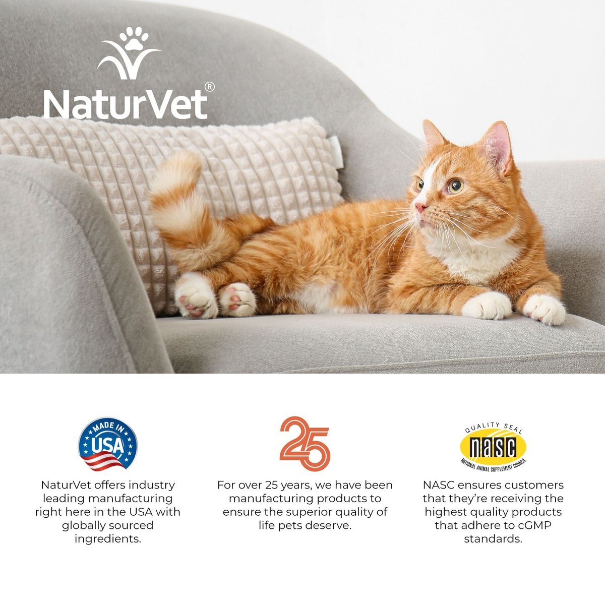NATURVET Digestive Enzymes Plus Probiotic Soft Chews Digestive ...