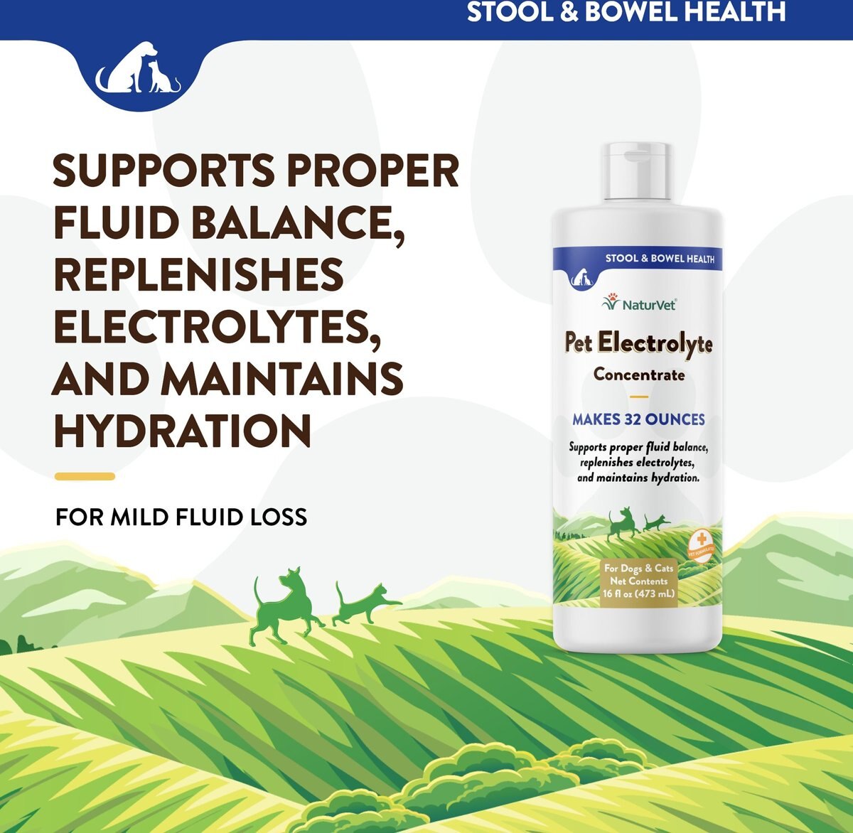 NATURVET Electrolytes Concentrate Liquid Nutritional Supplement for ...