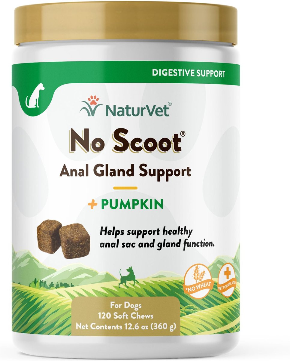 NATURVET No Scoot Plus Pumpkin Soft Chews Digestive Supplement for Dogs ...