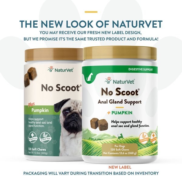NATURVET No Scoot Plus Pumpkin Soft Chews Digestive Supplement for Dogs ...