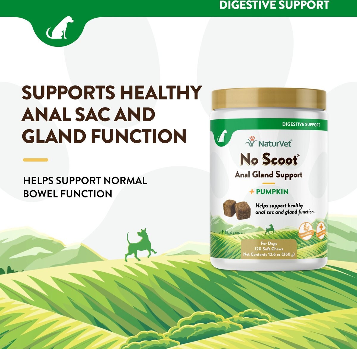 NATURVET No Scoot Plus Pumpkin Soft Chews Digestive Supplement for Dogs ...
