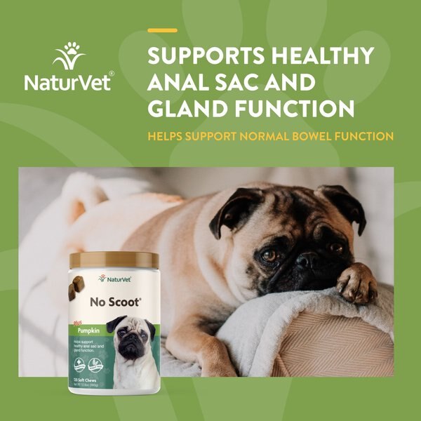 NATURVET No Scoot Plus Pumpkin Soft Chews Digestive Supplement for Dogs ...