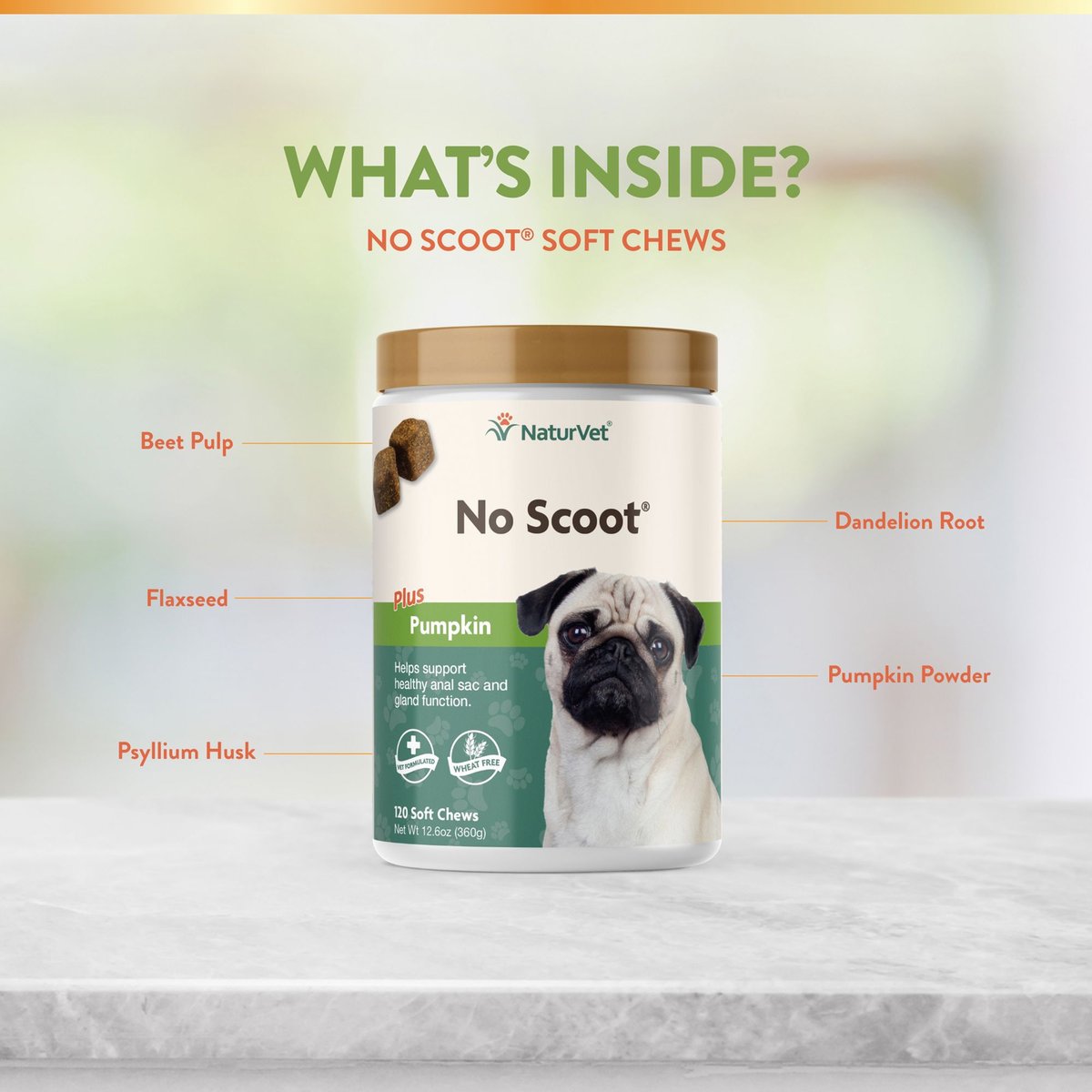 NATURVET No Scoot Plus Pumpkin Soft Chews Digestive Supplement for Dogs ...