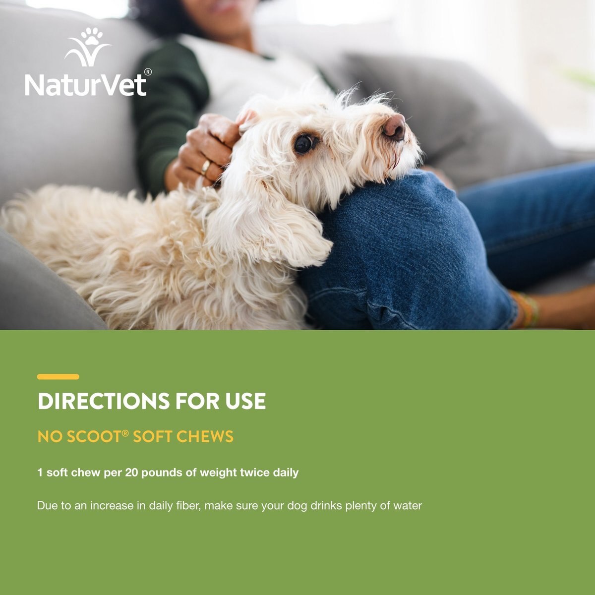 NATURVET No Scoot Plus Pumpkin Soft Chews Digestive Supplement for Dogs ...