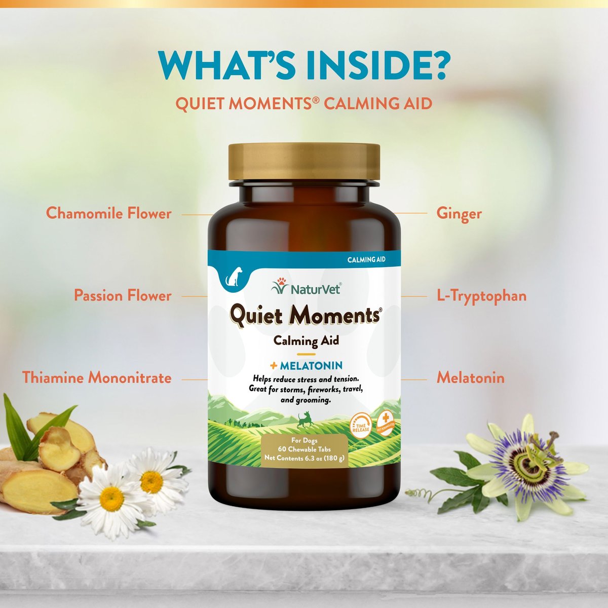 Discontinued - NATURVET Quiet Moments Chewable Tablets Calming ...