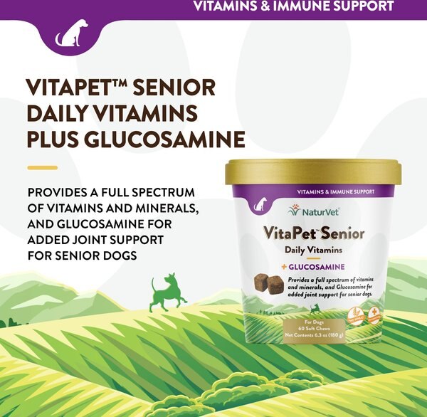NATURVET VitaPet Senior Daily Vitamins Plus Glucosamine Dog Supplement ...